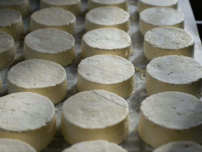 La présure : un savoir-faire essentiel à la fromagerie